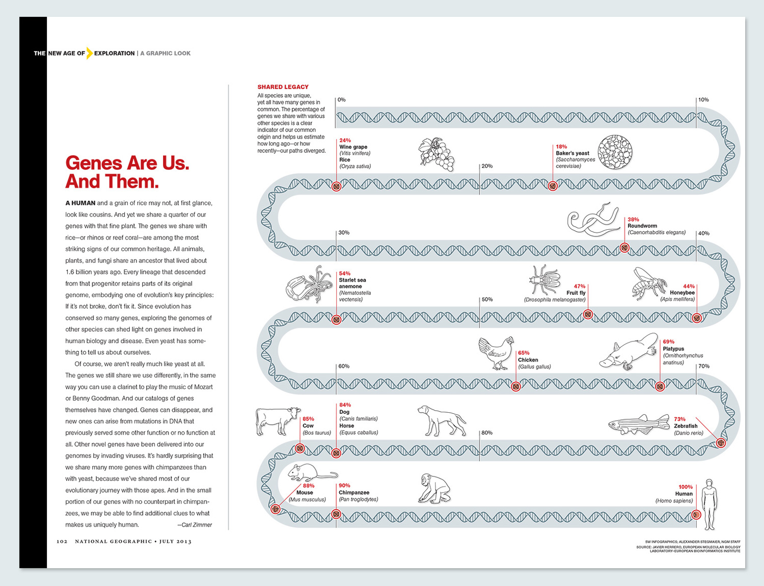 8th Sc 3rd 9 wks - Mr Edwards